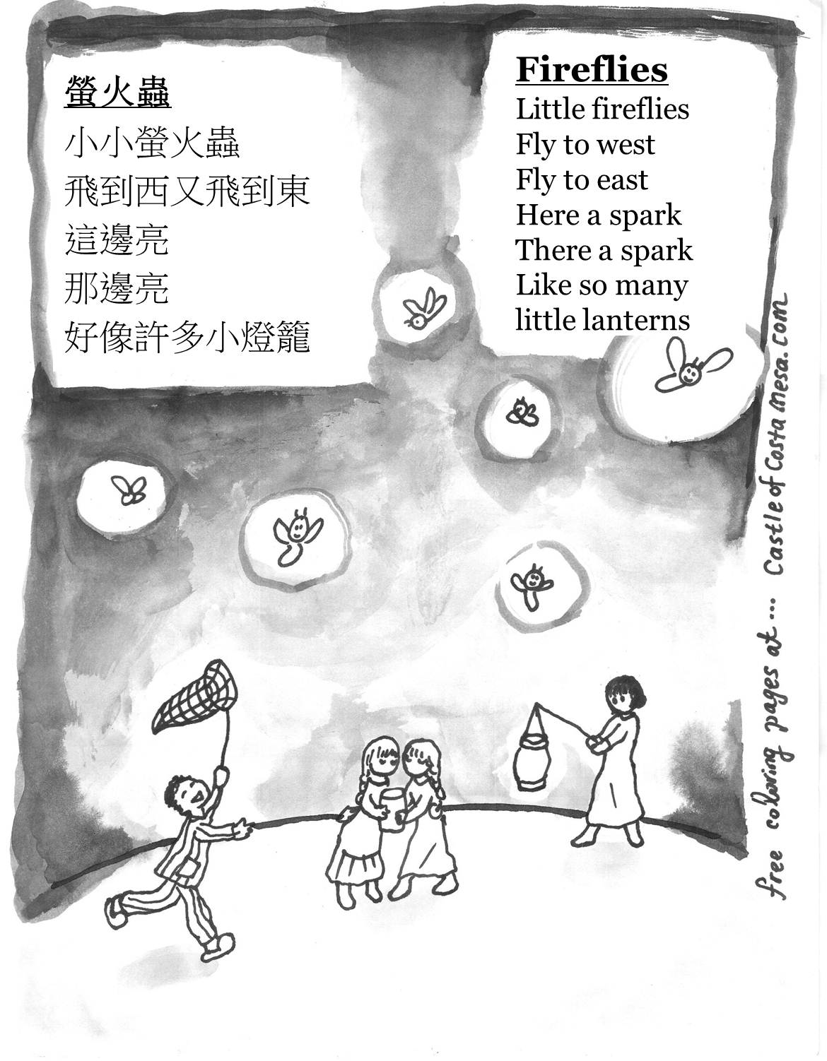 Chinese Fireflies: An Encouraging Update | Silent Sparks